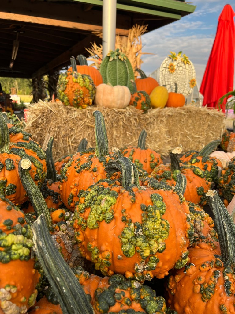 Al's Family Farm – "From our farm to your home"